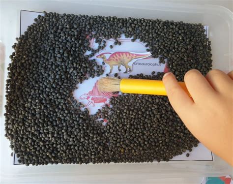 Dinosaur Montessori Inspired Activities And Printables Artofit