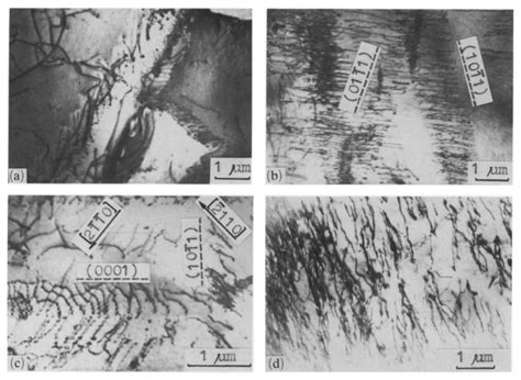 Dislocation Structure Of Modification 1 After Cyclic Loading At Am X Download Scientific