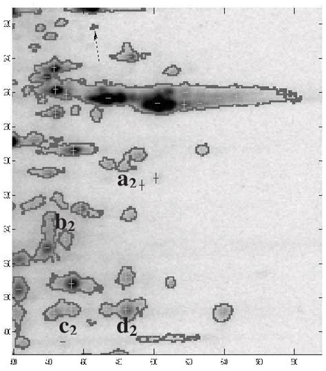 Detection Results Obtained By The Active Contour Without Edges Model On Download Scientific