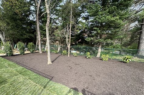 Mulch Installation Services In Annandale Va Mulch Installation Services