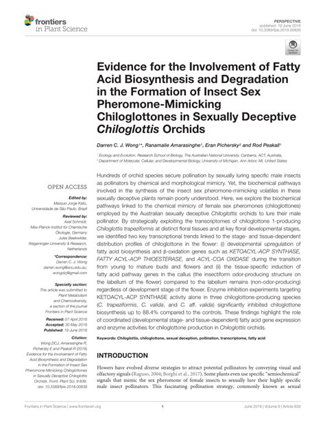 Pdf Evidence For The Involvement Of Fatty Acid Biosynthesis And