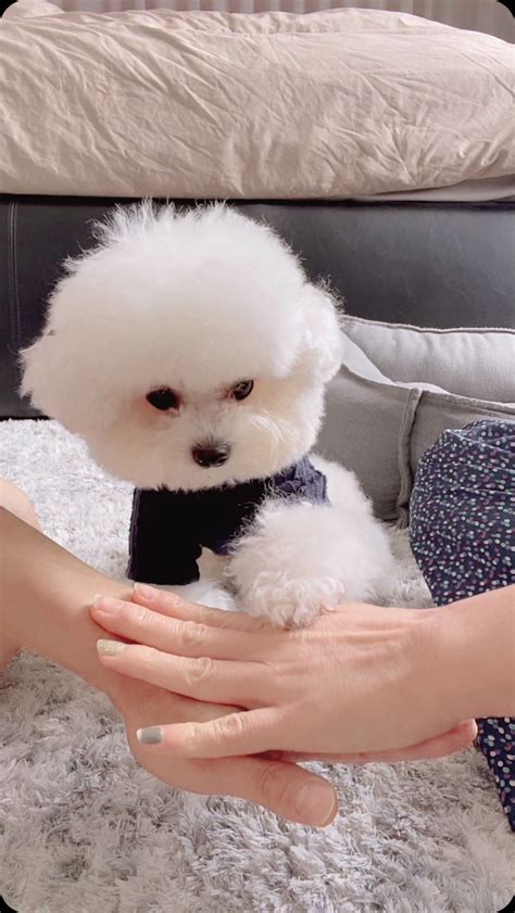 Bae Junsu 배준수 Beɪ Joon Soo เบจุนซู How Many Junsu Are There In This