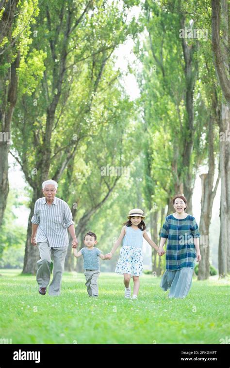 Grands parents et petits enfants marchant le long de la rangée de peupliers Photo Stock Alamy