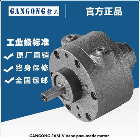 Gangong Am V