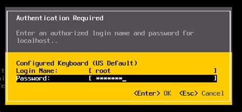 Warning Dhcp Lookup Failed в Vmware Esxi 55 Настройка серверов Windows и Linux