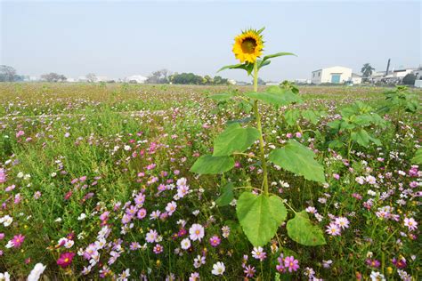 彰化縣政府 農業處