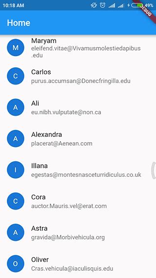 How To Integrate Rest Api In Flutter