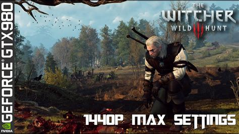 The Witcher Max Settings P GTX DDR K YouTube
