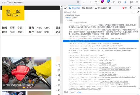 Chinese Websites Encoding Survey Year 2022