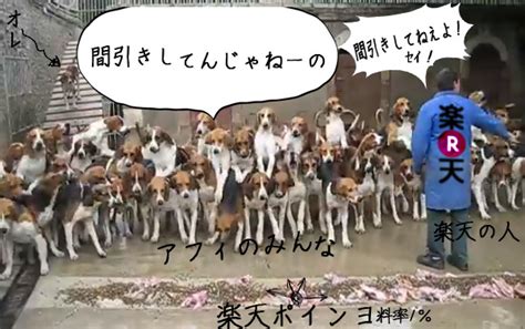 2015年9月分の楽天ポイントをもらう引き篭もり 引き篭もりアフィリエイター