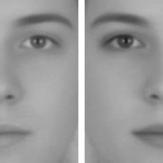 Variant Of The Illusion Of Sex The Face On The Left Appears Male Download Scientific Diagram