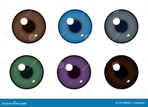 Human Pupil Eyeball Variations Eye Color Types Illustration Cartoon Vector CartoonDealer Com