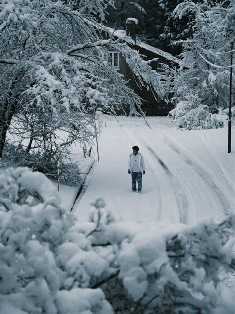 감기 걷기 겨울 겨울 동화나라 겨울 모험 겨울 자켓 겨울 장면 겨울 코트 겨울 풍경 격리 경치 계절 고독 고독한 고요한 고요함 그늘진 나무 길