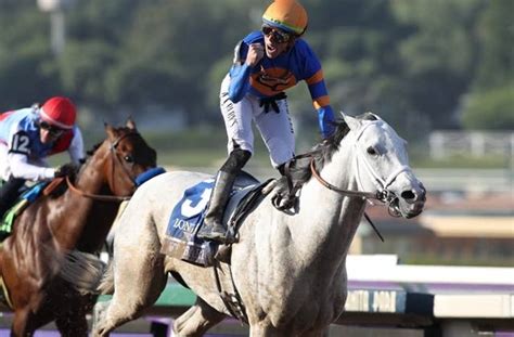 Bcクラシック覇者ホワイトアバリオ、来年も現役続行 Jra Van World 海外競馬情報サイト
