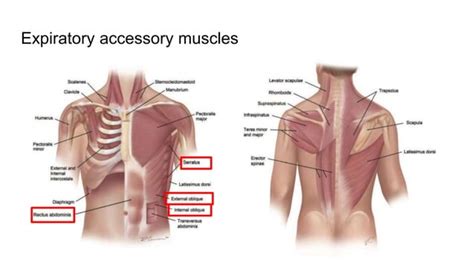 20240809 Chest Wall Reconstructionpptx20240809 Chest Wall