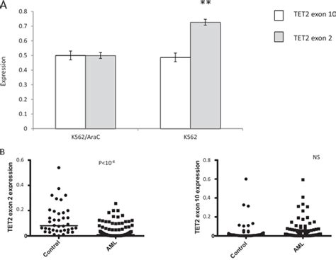 Oncogene And Drug Resistance Associated Alternative Exon Usage In Acute Myeloid Leukemia Aml