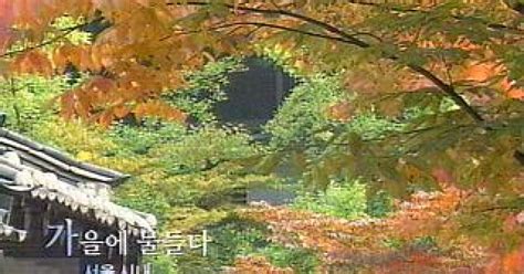 가을에 물들다