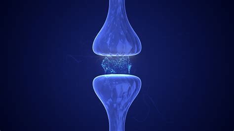 Reseptor Neuron Dan Aktivitas Sinaps Konsep Medis Foto Stok Unduh