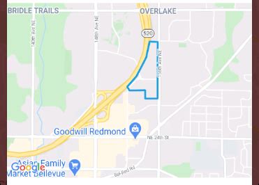 C Xamarin Forms Maps In CarouselView Route Not Shown Directly