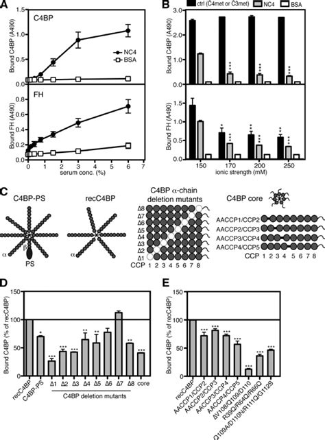 Interaction Of Nc4 With C4bp And Fh A Nc4 Binds C4bp And Fh From