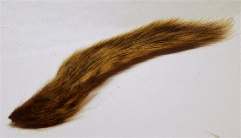 Squirrel Tails Scottie Fly Tying