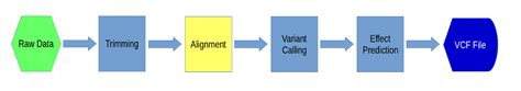 Alignment Of High Throughput Sequencing Data Using Bwa Uc Davis