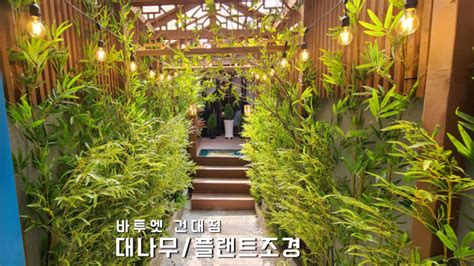 대나무조화 인조 식물인테리어 플랜트박스 조경과 함께 베트남 음식점 외부 장식 바투엣 건대점 네이버 블로그