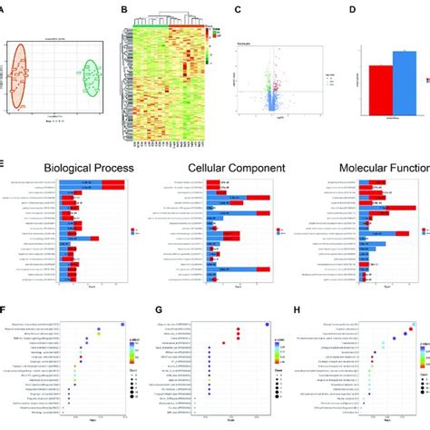 functional enrichment analysis of differentially expressed proteins