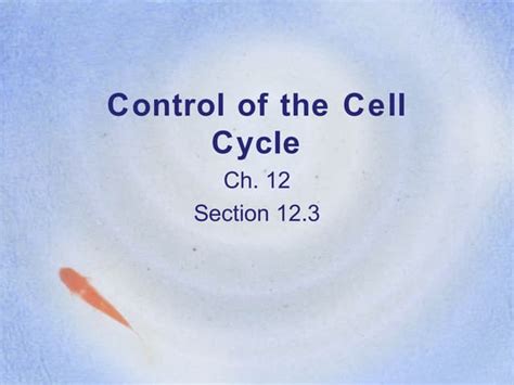 Ap Bio Ch 12 Part 2 Ppt