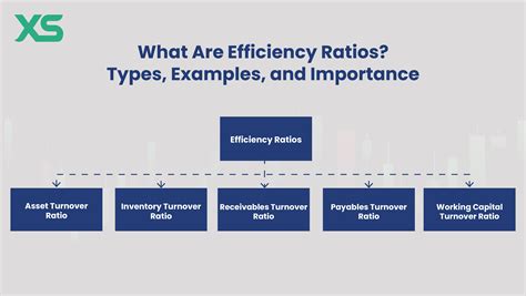What Are Efficiency Ratios Types Examples And Importance Xs