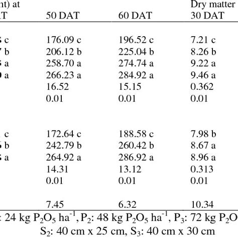 PDF Effect Of Phosphorus And Plant Spacing On The Growth And Yield Of