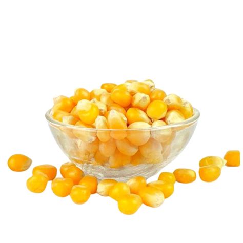Us Mushroom Popcorn Kernels Malaysia Essentials My