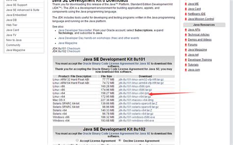【linux和windows 10下的java环境变量配置】（图文详解）java 环境变量 Linux和windows的分隔符 统一 Csdn博客