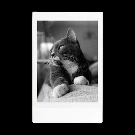 Having A Lot Of Fun With Mini Evo R Instax