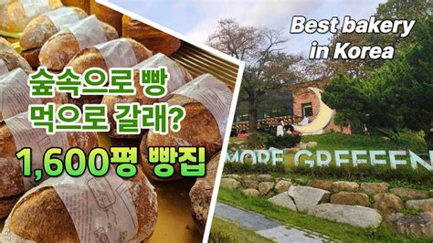 양주 장흥 숲속의 베이커리 대형 카페 모어그린베이커리 Best Bakery In Korea Moregreeeen