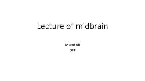 Midbrain Basic Anatomy And Applied Aspects Ppt