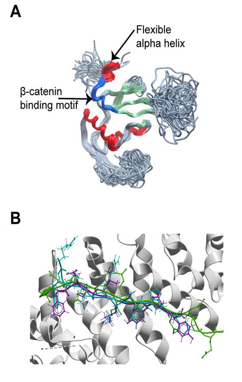 Structure And Sequence Based Evaluation Of Nef A Superimposition Of