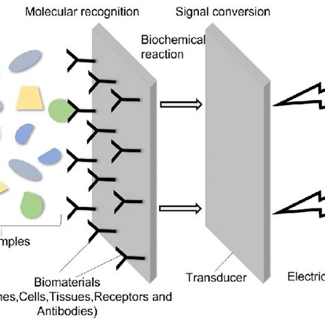 The Working Principle Of Metal Oxide Semiconductor Mos Sensors
