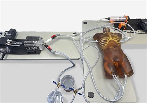Fantoma Para Ecografia TO A04 True Phantom Solutions Para