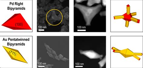 Seeding A New Kind Of Garden Synthesis Of Architecturally Defined Multimetallic Nanostructures
