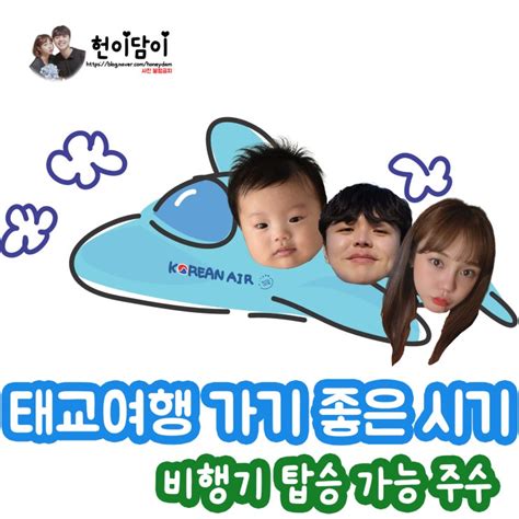 임신중 해외여행 가기 좋은 시기와 비행기 탑승 가능 주수 태교여행 네이버 블로그