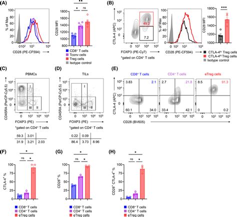 Ctla‐4 And Cd28 Coexpression In Tumor‐infiltrating Treg Cells A Cd28