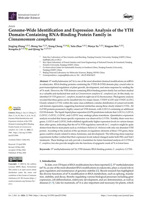 Pdf Genome Wide Identification And Expression Analysis Of The Yth