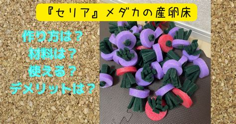 『セリア』メダカ産卵床！コスパ最強の驚くほど卵をつける浮き型とは？（画像）作り方材料注意点 ネド》めだかブログ
