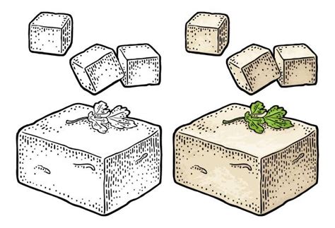 6300 Tofu Stock Illustrations Royalty Free Vector Graphics And Clip