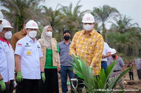 Pemerintah Akselerasi Implementasi Program Peremajaan Sawit Rakyat dengan Menerapkan Good ...