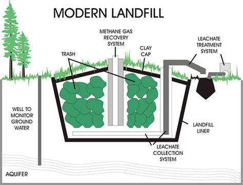 How Biomass Power Plant Works