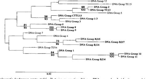Acinetobacter Haemolyticus Semantic Scholar