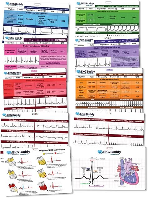 Ekg Buddys 5 Card Ekg Interpretation Badge Set Doubled Sided Nurse