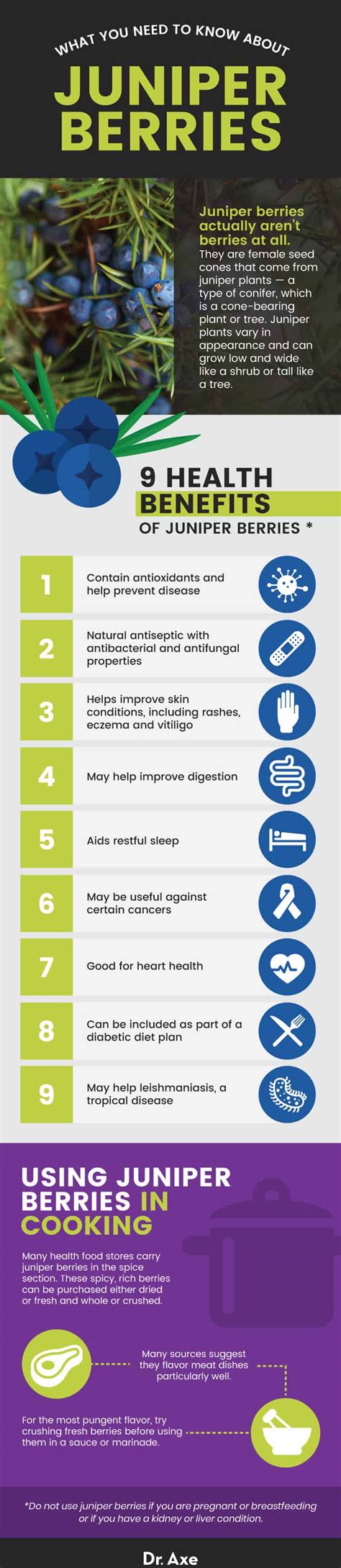 Juniper Berries Benefits Uses Side Effects And Interactions Dr Axe